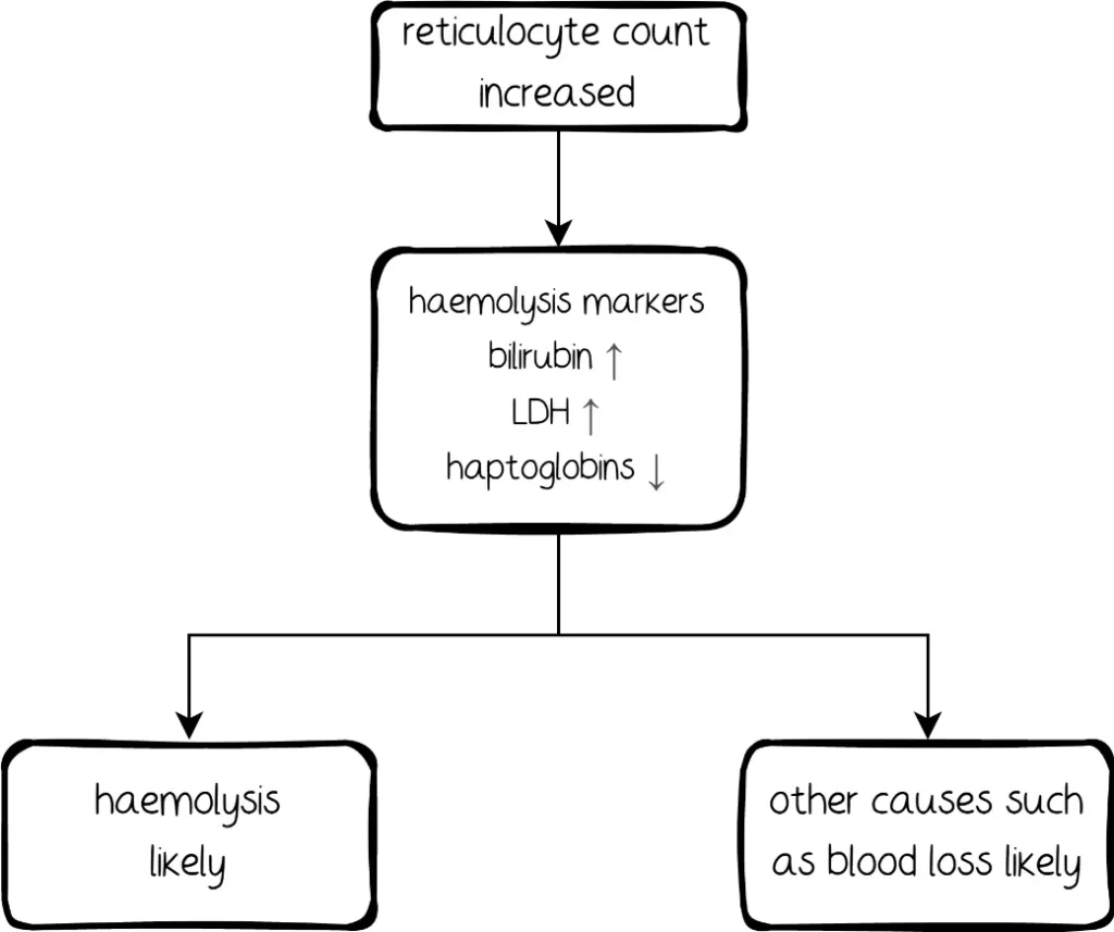 Haemolytic Anaemias: Overview – The Medical Cookbook