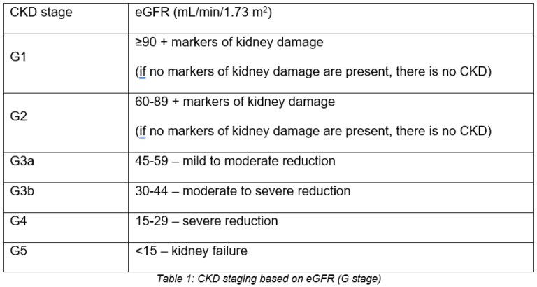 Chronic Kidney Disease - The Medical Cookbook