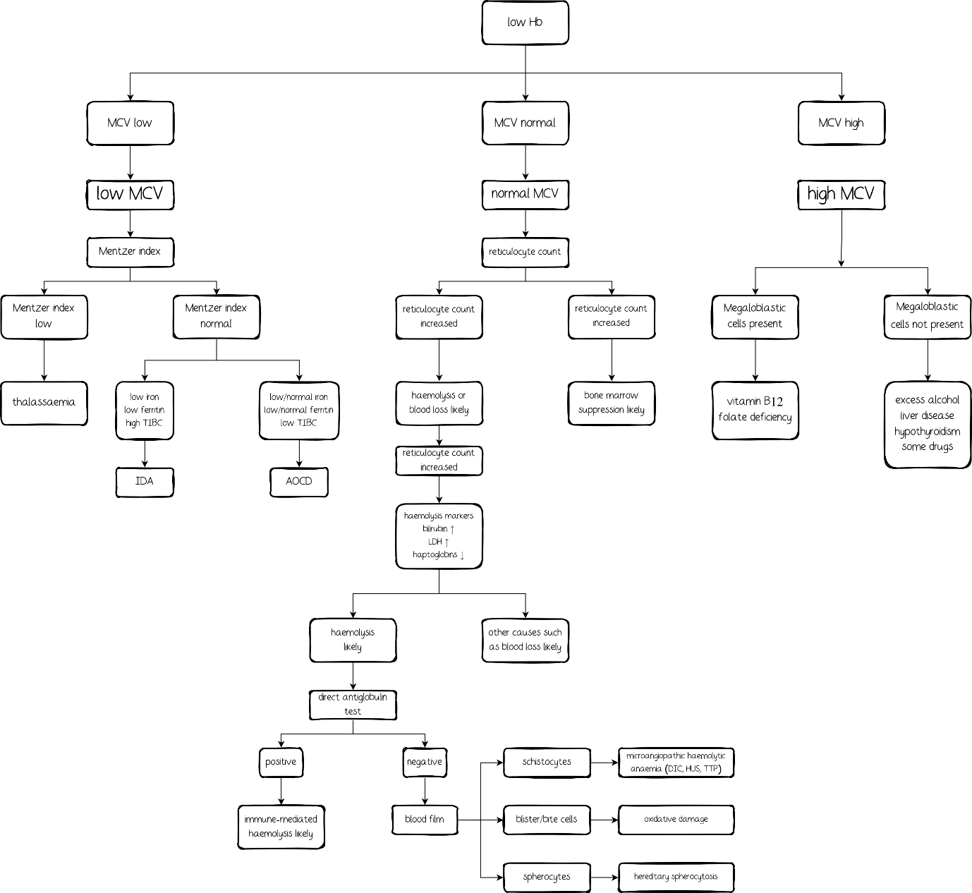 Anaemia: Data Interpretation - The Medical Cookbook